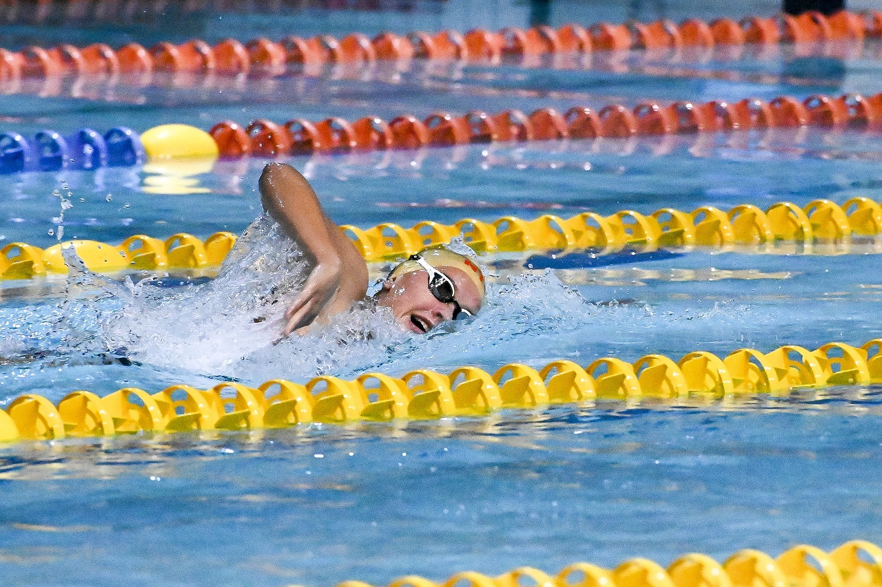 Swimmers add four more golds to Team SA haul at African Games ...